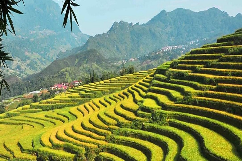 My Son - The Cham Sanctuary | Top Things To Do | Asia Hero Travel